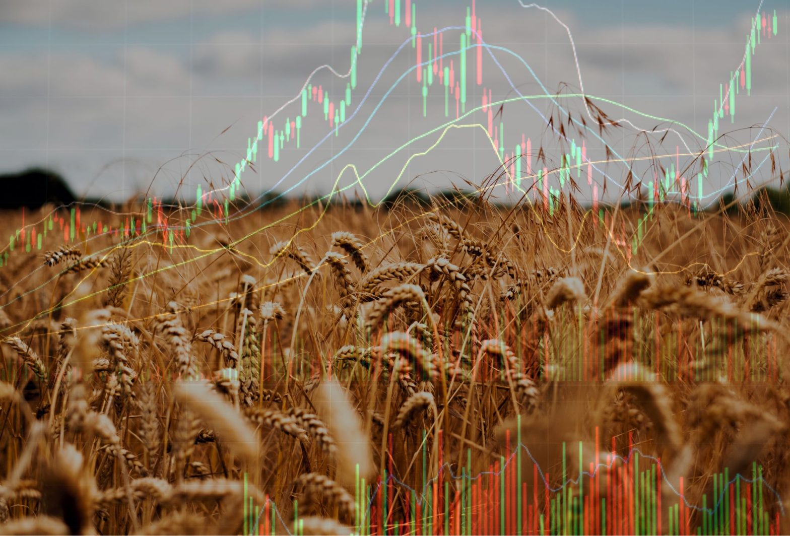 Fourth Milling Company debuts on the Saudi Exchange following IPO ...